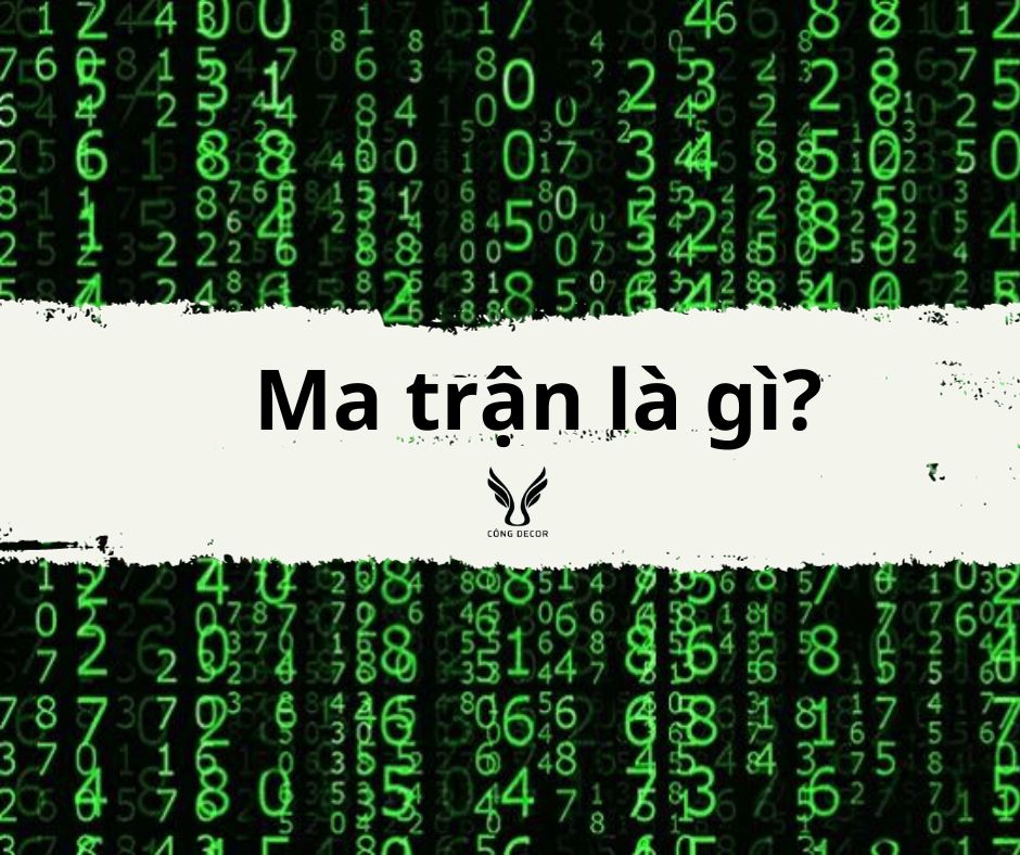 Ma trận là gì? Tác dụng của ma trận là gì? Có những loại ma trận nào ...